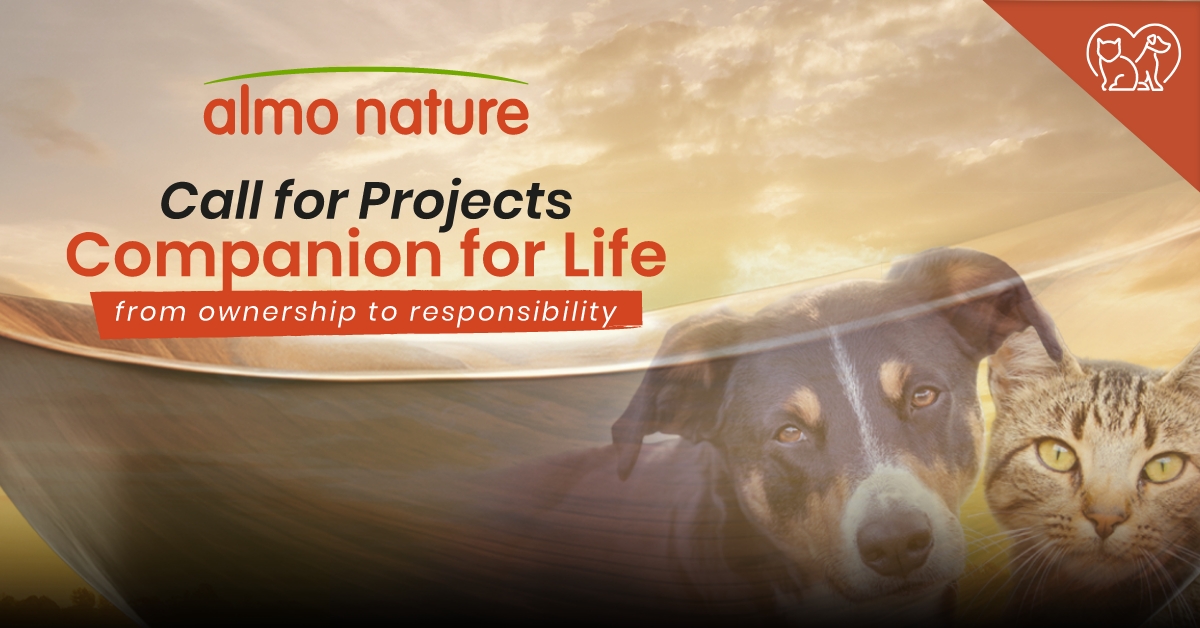 Home - Phase 1 - Reintegration Economy EN