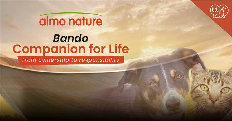 Home Fase 1 - Reintegration Economy IT